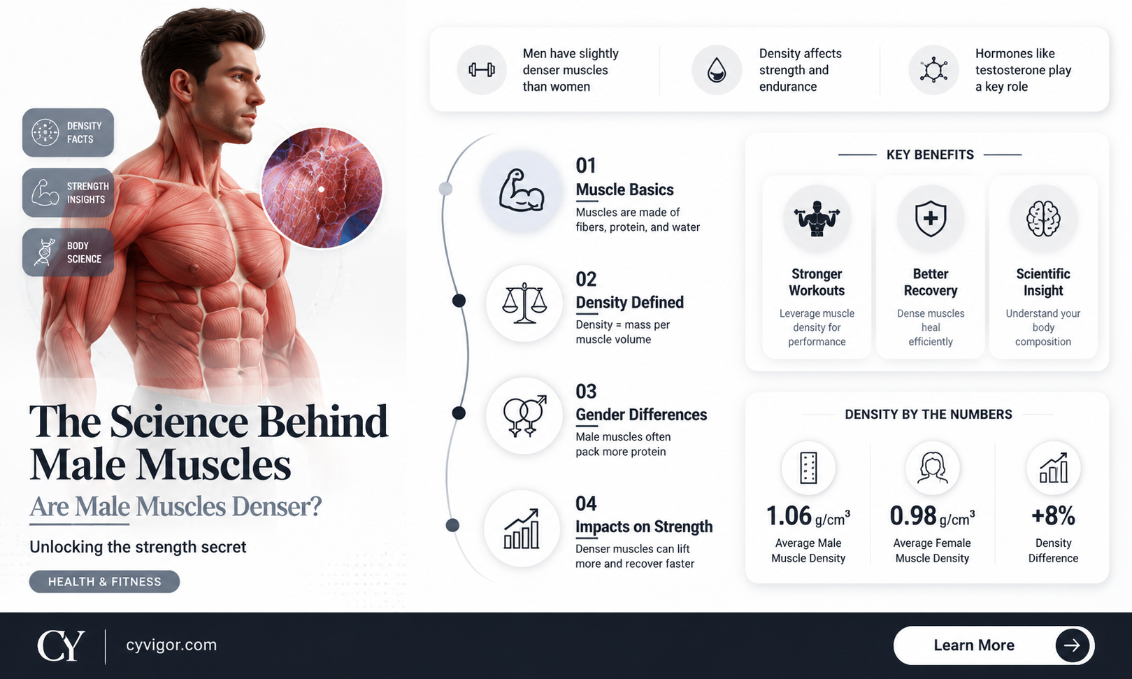 The Science Behind Male Muscles: Are They Denser? | CyVigor