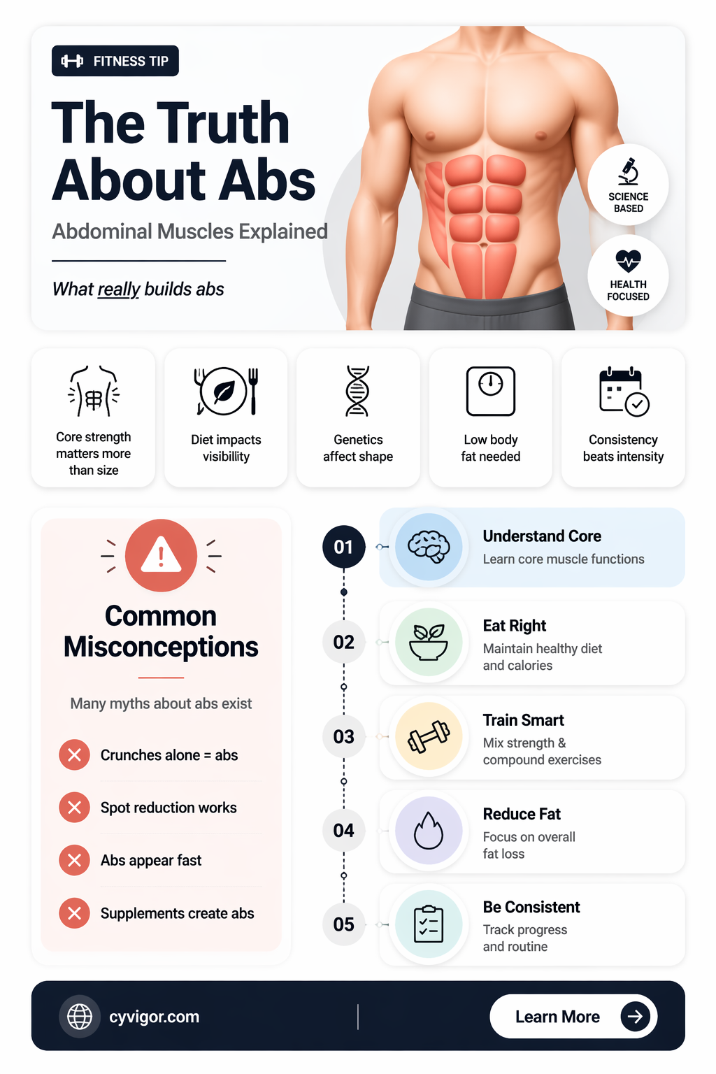 The Truth About Abs And Abdominal Muscles | CyVigor