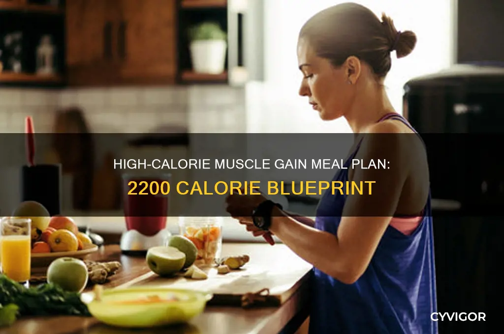 High-Calorie Muscle Gain Meal Plan: 2200 Calorie Blueprint | CyVigor