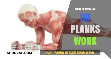 Muscles Targeted By Push-Ups: A Comprehensive Breakdown And Benefits ...