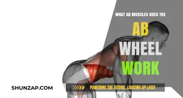 Understanding Antagonistic Muscles: Their Function And Role In Movement ...