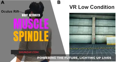 Understanding Quads: The Powerful Muscle Group In Your Legs | CyVigor