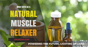 Top Brand Names Of Muscle Relaxers: A Comprehensive Guide | CyVigor
