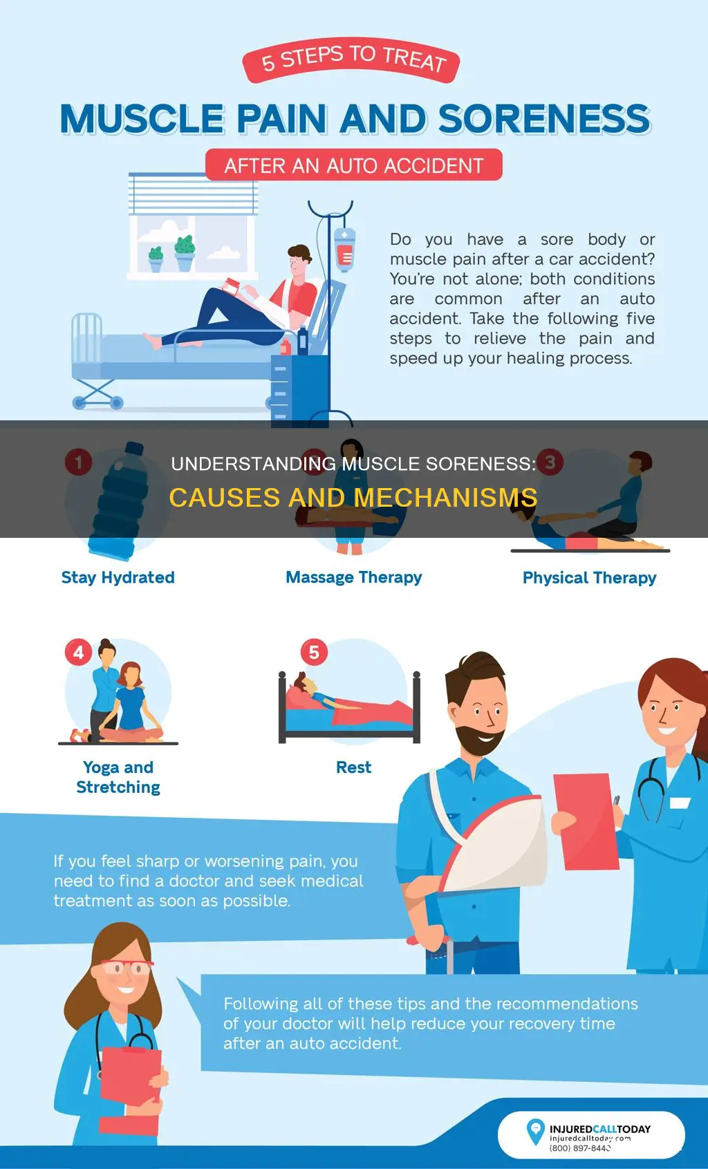 Understanding Muscle Soreness: Causes And Mechanisms | CyVigor