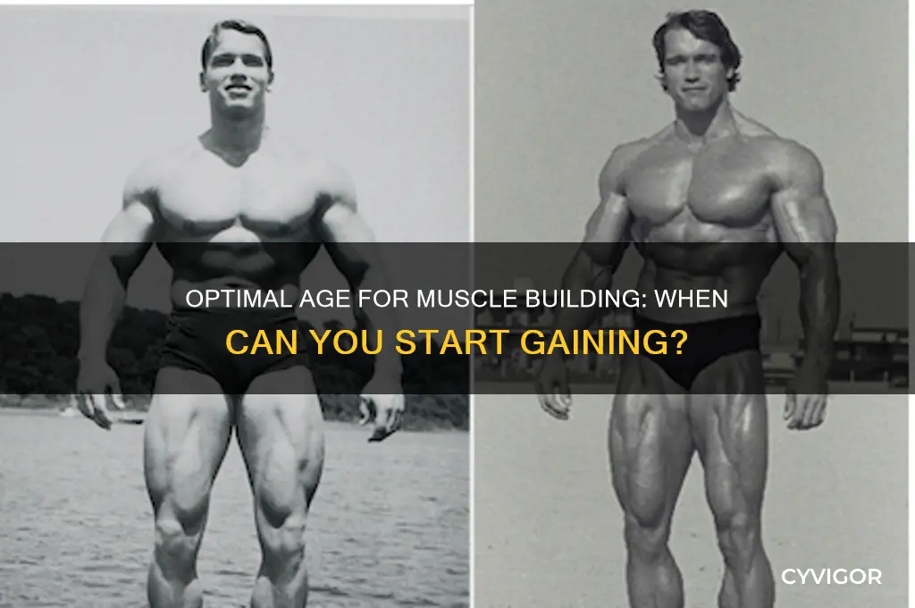 Optimal Age For Muscle Building: When Can You Start Gaining? | CyVigor