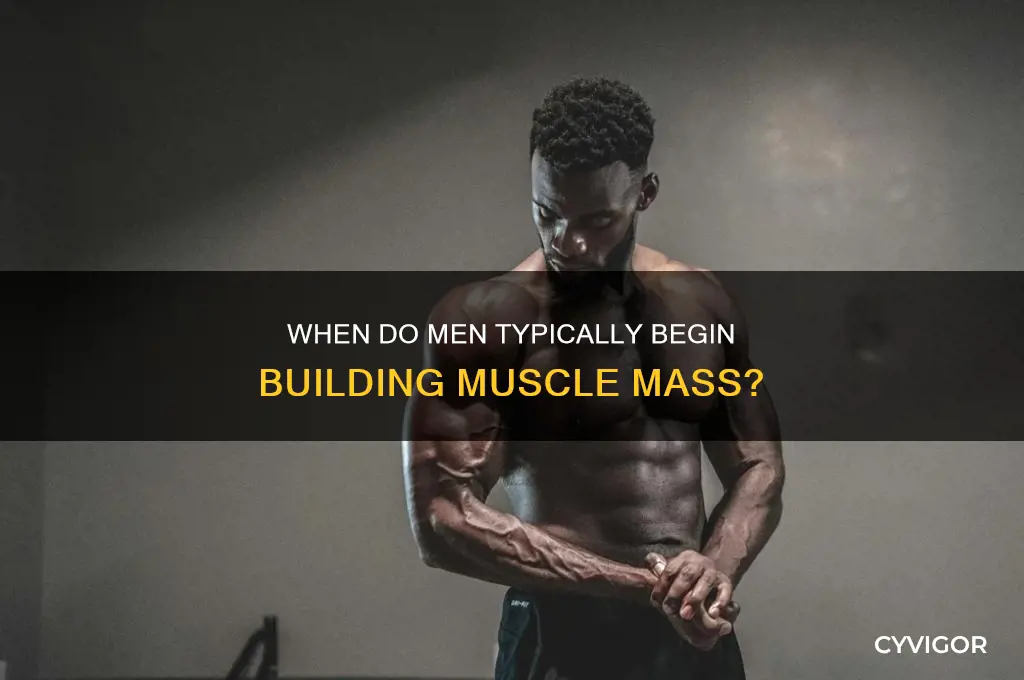 When Do Men Typically Begin Building Muscle Mass? | CyVigor