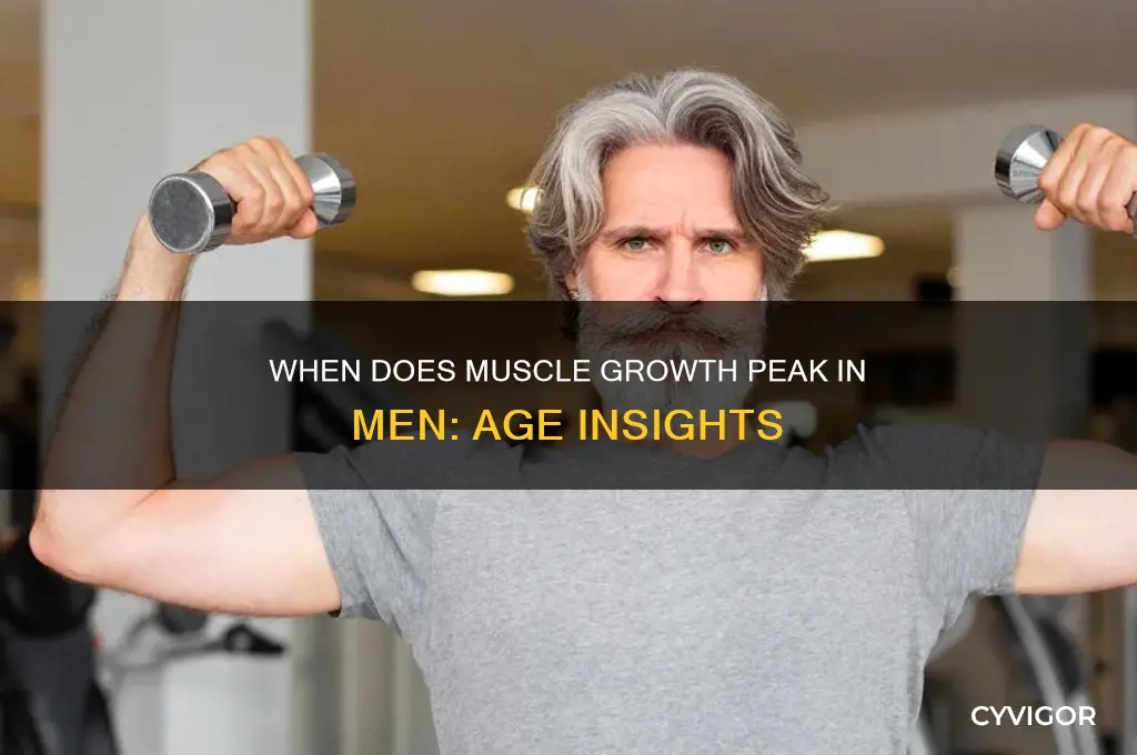 When Does Muscle Growth Peak In Men: Age Insights | CyVigor