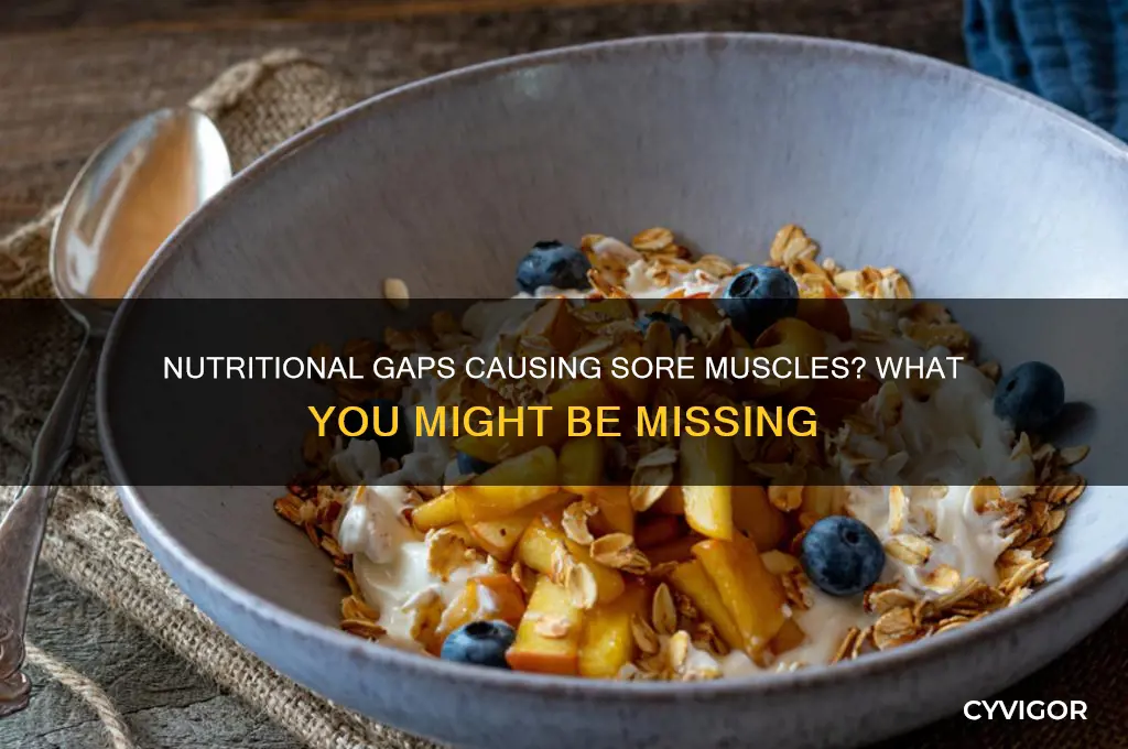 Nutritional Gaps Causing Sore Muscles? What You Might Be Missing | CyVigor