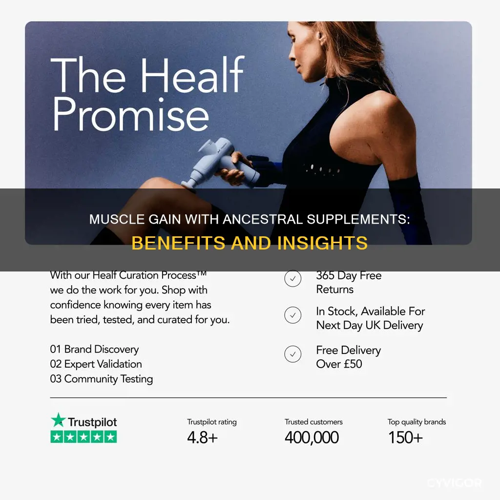 Muscle Gain With Ancestral Supplements: Benefits And Insights | CyVigor