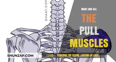Understanding Muscle Strains: What Happens When You Pull A Muscle | CyVigor