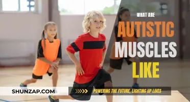 Understanding Appendicular Muscles: Their Function And Anatomy | CyVigor