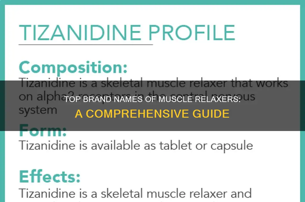 Top Brand Names Of Muscle Relaxers: A Comprehensive Guide | CyVigor