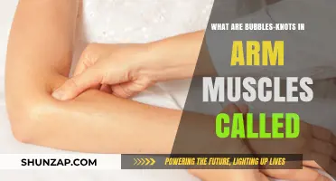 Understanding The Lower Arm Muscles: Names And Functions Explained ...