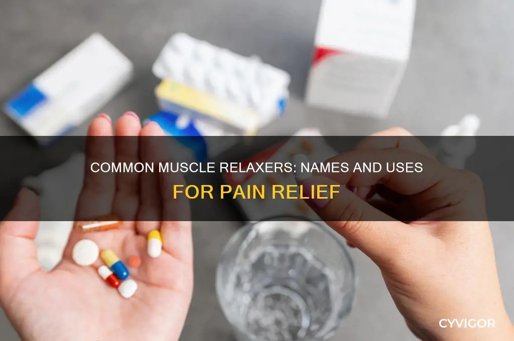 Common Muscle Relaxers: Names And Uses For Pain Relief | CyVigor