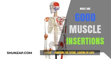 Fuel Your Recovery: Top Foods To Reduce Muscle Soreness | CyVigor