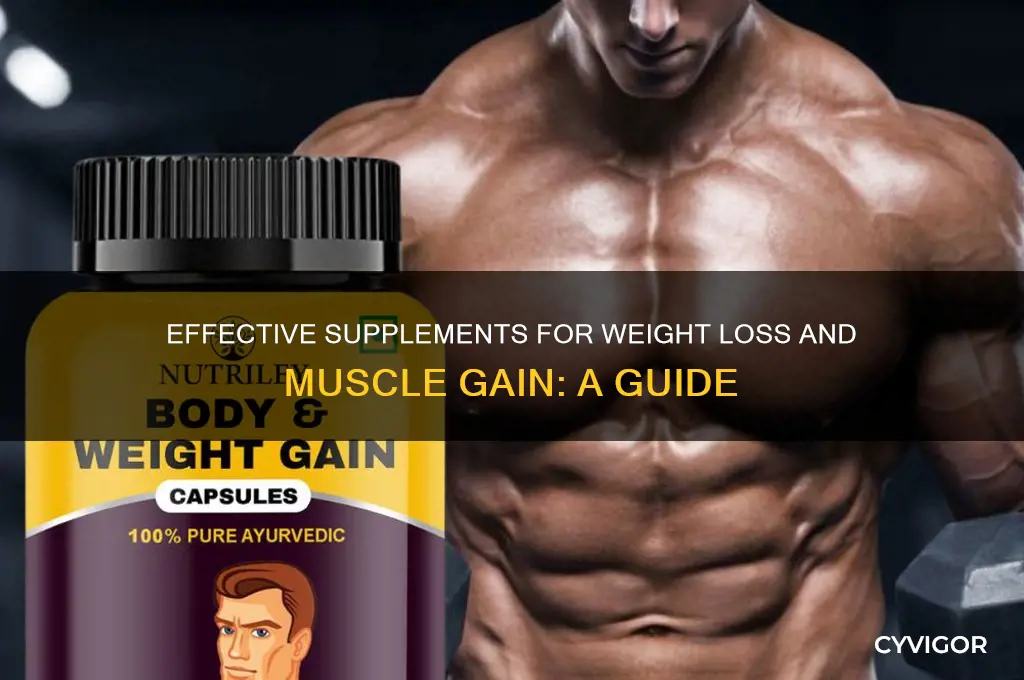 Effective Supplements For Weight Loss And Muscle Gain: A Guide | CyVigor