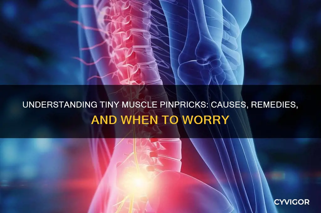 Understanding Tiny Muscle Pinpricks: Causes, Remedies, And When To ...