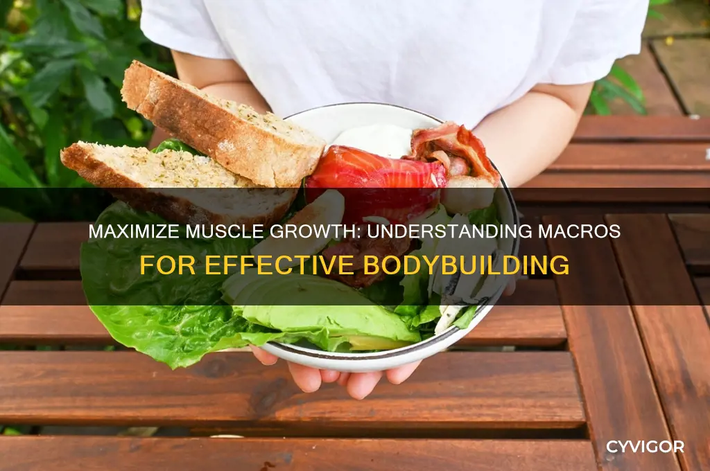 Maximize Muscle Growth: Understanding Macros For Effective Bodybuilding ...