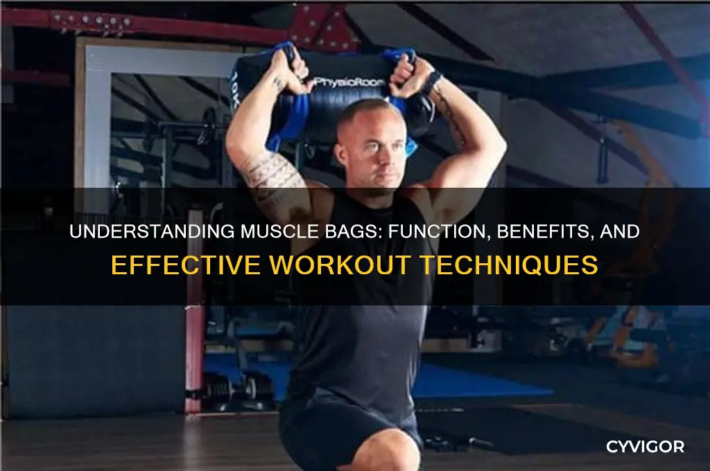 Understanding Muscle Bags: Function, Benefits, And Effective Workout ...