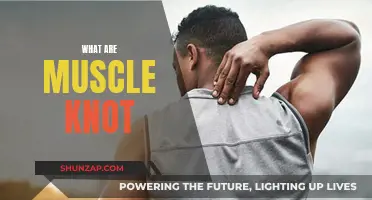 Muscle Fibrils: Building Blocks Of Muscular Strength | CyVigor