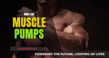 Understanding Muscle Motor Points: What, Where, And Why | CyVigor