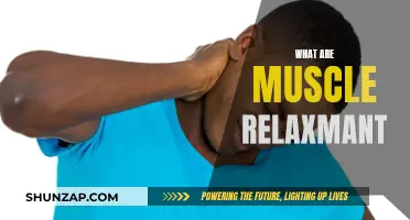 Understanding Muscle Spasms: Causes, Effects, And Treatments | CyVigor