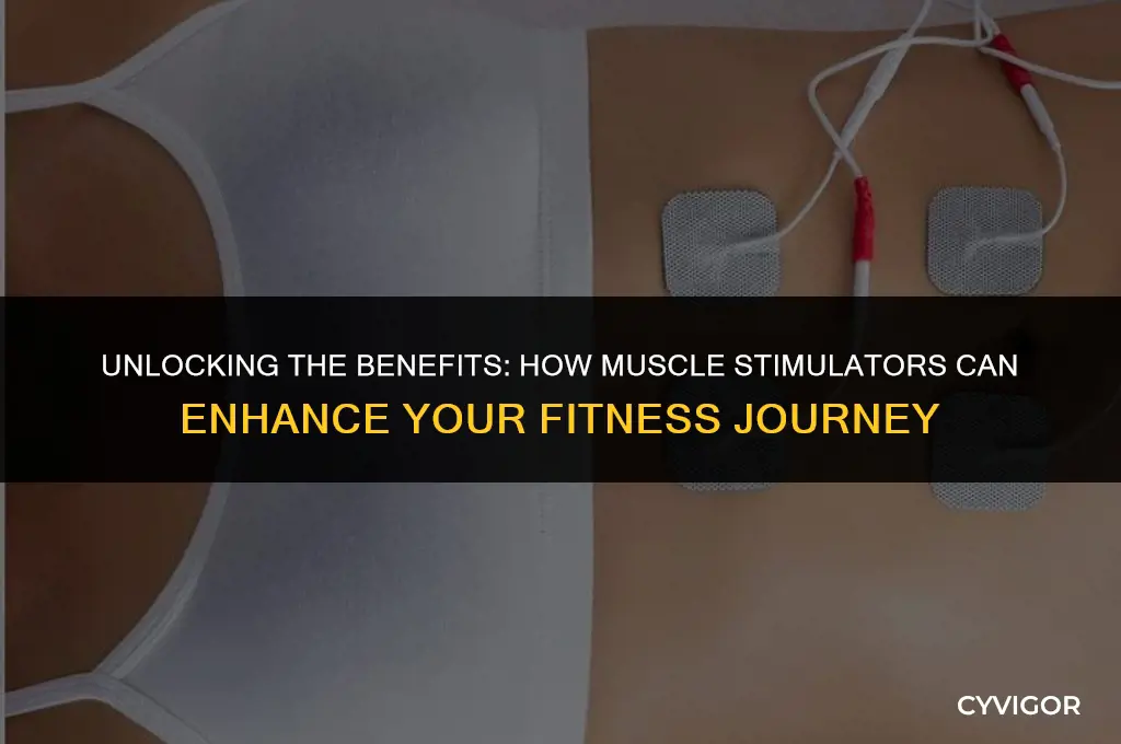 Unlocking The Benefits: How Muscle Stimulators Can Enhance Your Fitness ...