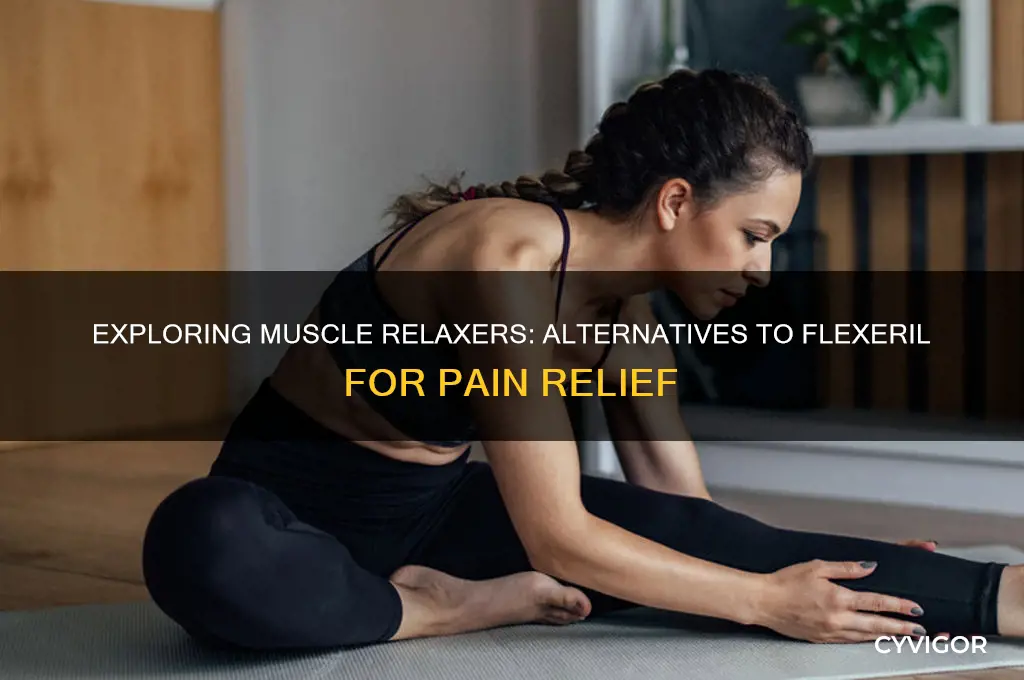 Exploring Muscle Relaxers: Alternatives To Flexeril For Pain Relief ...