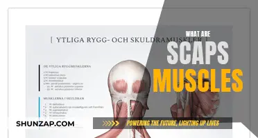 Stabilizer Muscles: The Secret To Shoulder Health | CyVigor