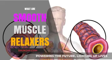Exploring Muscle Relaxers: Alternatives To Flexeril For Pain Relief ...