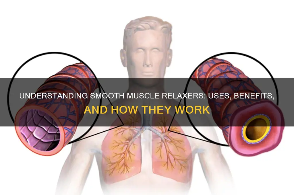 Understanding Smooth Muscle Relaxers: Uses, Benefits, And How They Work ...