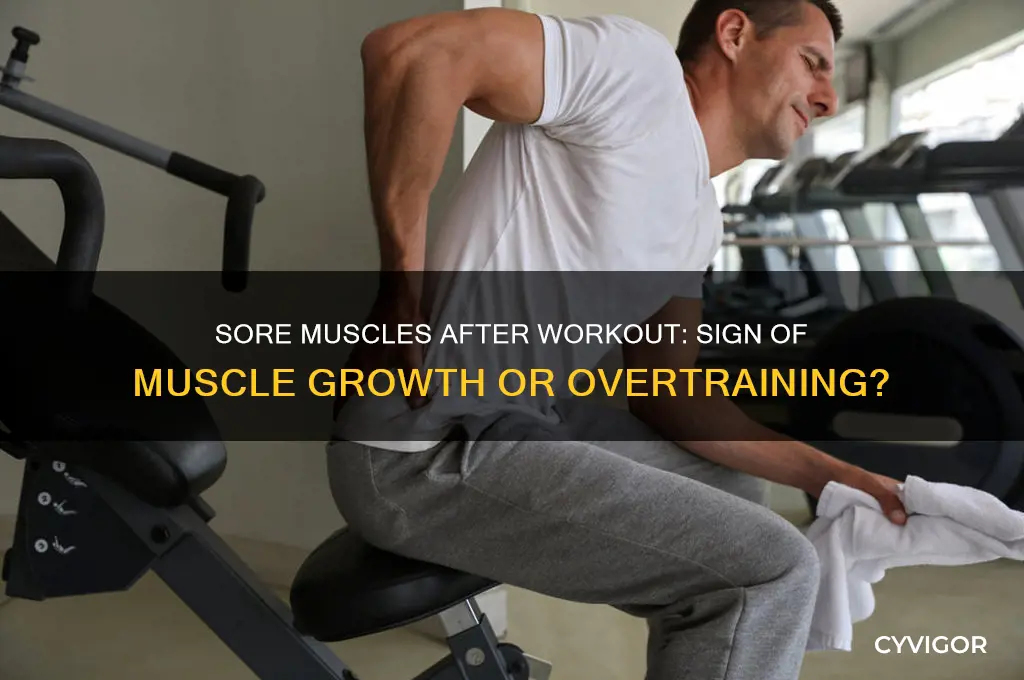 Sore Muscles After Workout: Sign Of Muscle Growth Or Overtraining ...