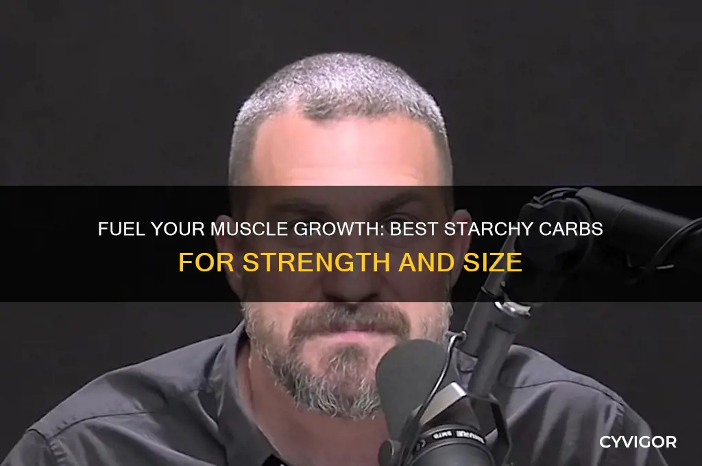 Fuel Your Muscle Growth: Best Starchy Carbs For Strength And Size | CyVigor