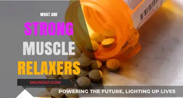 Exploring Muscle Relaxers: Alternatives To Flexeril For Pain Relief ...