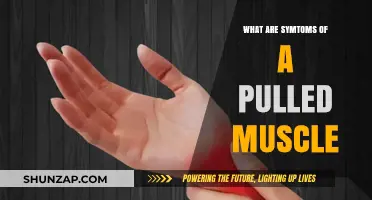 Pulled Arm Muscle Symptoms: Recognizing Pain, Swelling, And Weakness ...