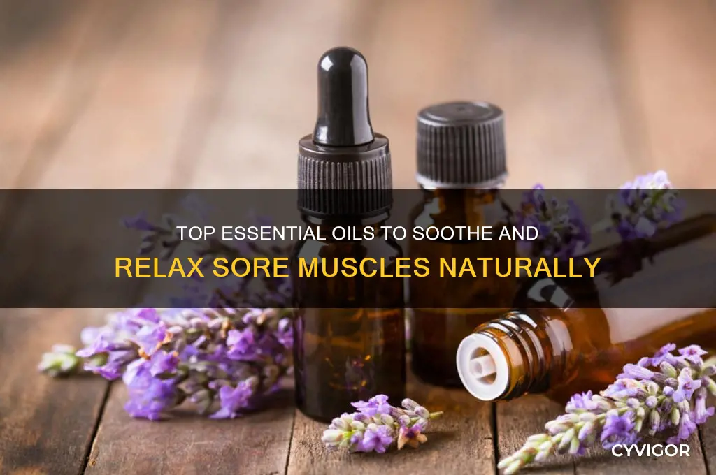 Top Essential Oils To Soothe And Relax Sore Muscles Naturally | CyVigor