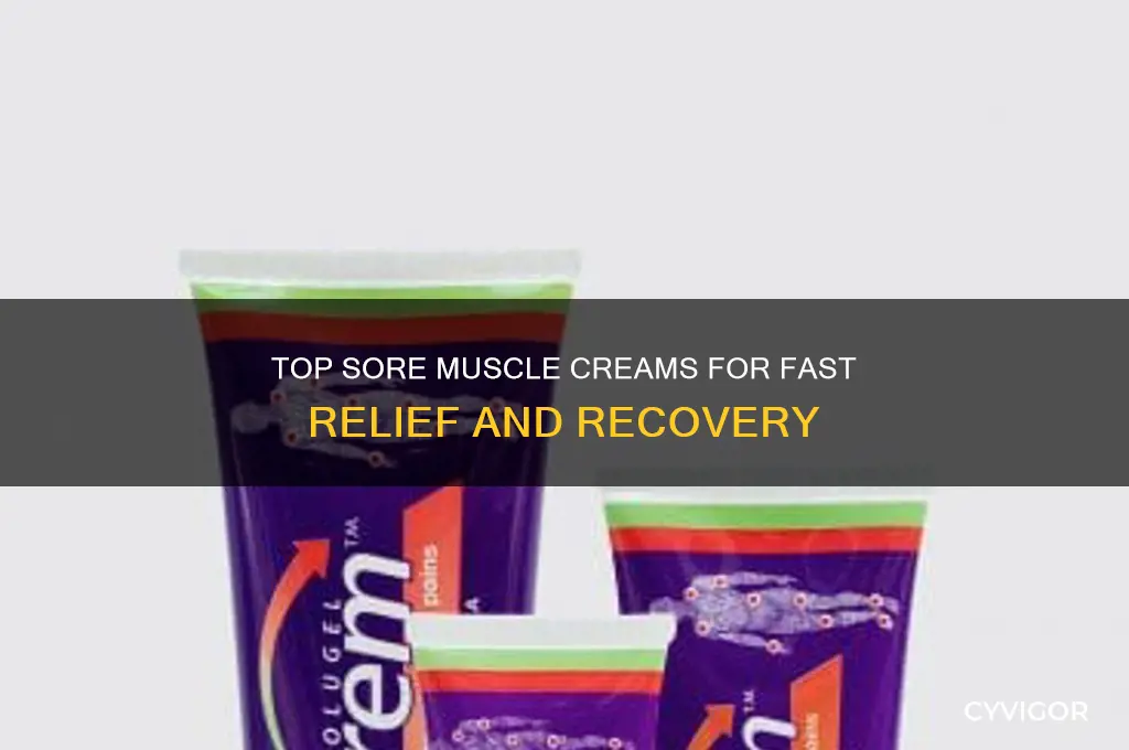 Top Sore Muscle Creams For Fast Relief And Recovery | CyVigor