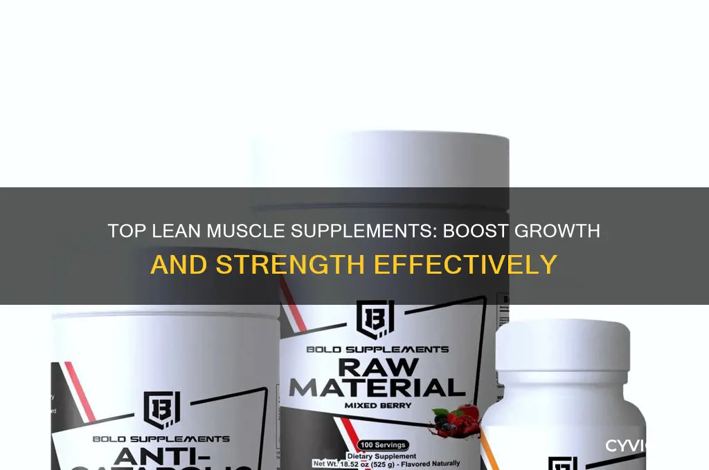 Top Lean Muscle Supplements: Boost Growth And Strength Effectively ...