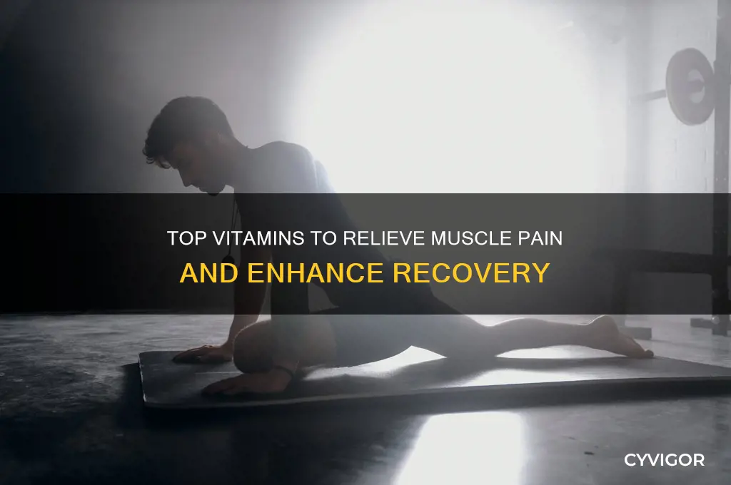 Top Vitamins To Relieve Muscle Pain And Enhance Recovery | CyVigor