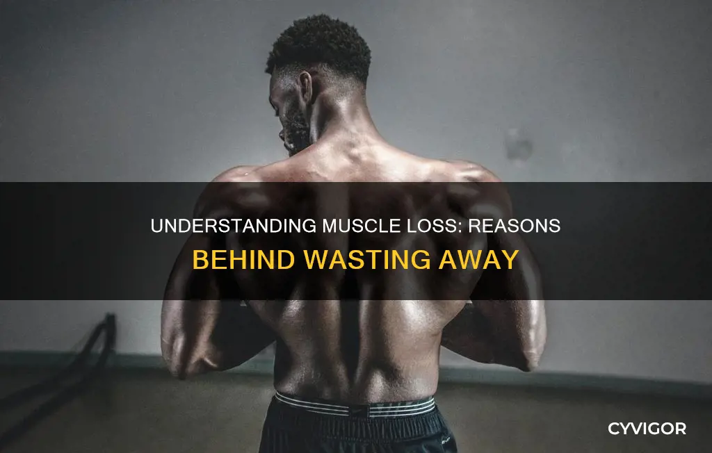 Understanding Muscle Loss: Reasons Behind Wasting Away | CyVigor