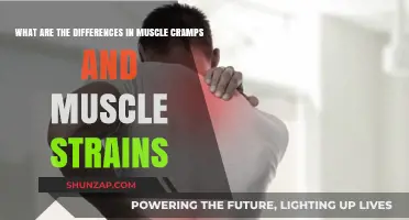 Understanding Muscle Cramps: Recognizing The Signs And Symptoms | CyVigor