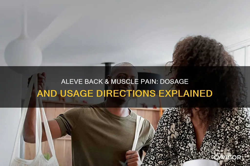 Aleve Back & Muscle Pain: Dosage And Usage Directions Explained | CyVigor