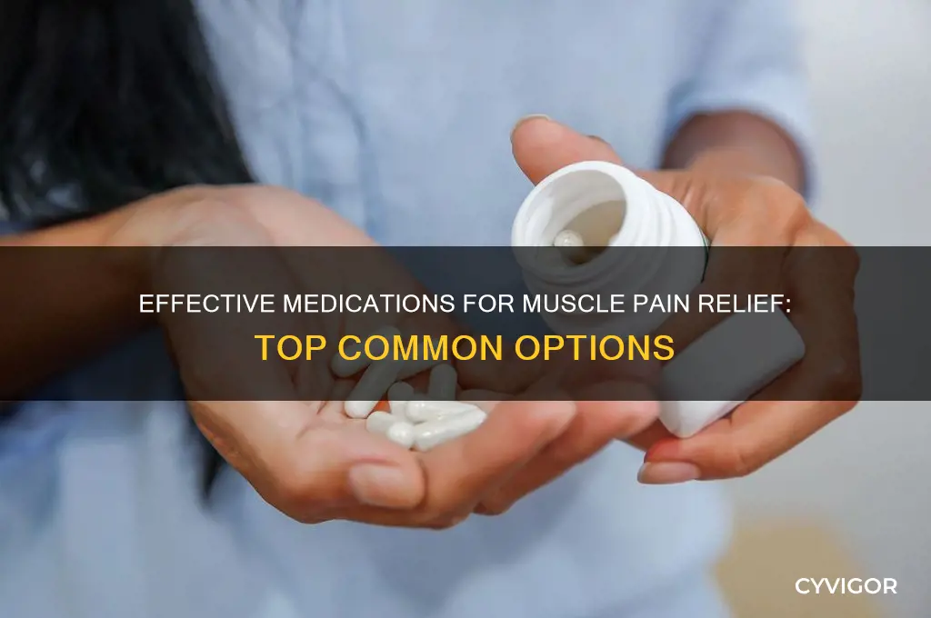 Effective Medications For Muscle Pain Relief: Top Common Options | CyVigor