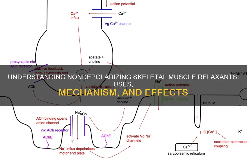 Understanding Nondepolarizing Skeletal Muscle Relaxants: Uses ...