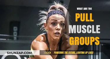 Understanding Muscle Strains: What Happens When You Pull A Muscle | CyVigor
