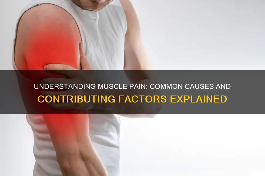 Understanding Muscle Pain: Common Causes And Contributing Factors ...