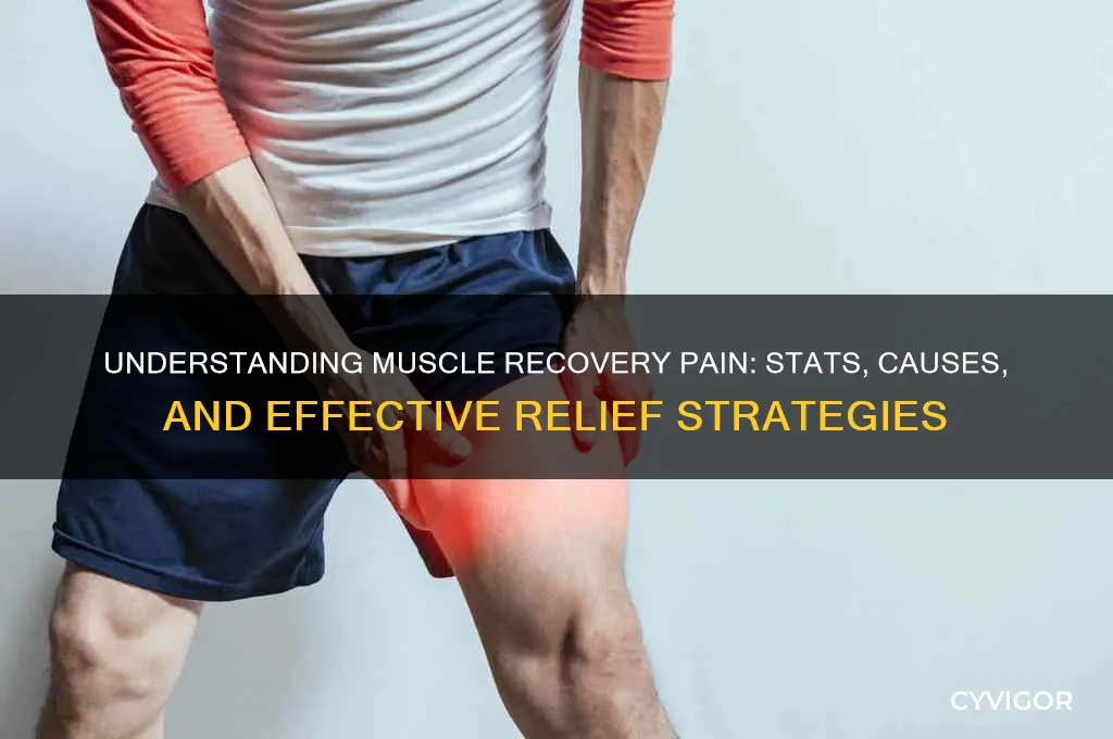 Understanding Muscle Recovery Pain: Stats, Causes, And Effective Relief ...