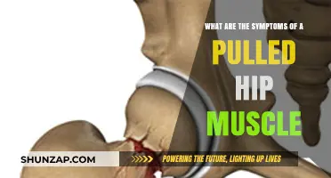 Understanding Muscle Strains: What Happens When You Pull A Muscle | CyVigor