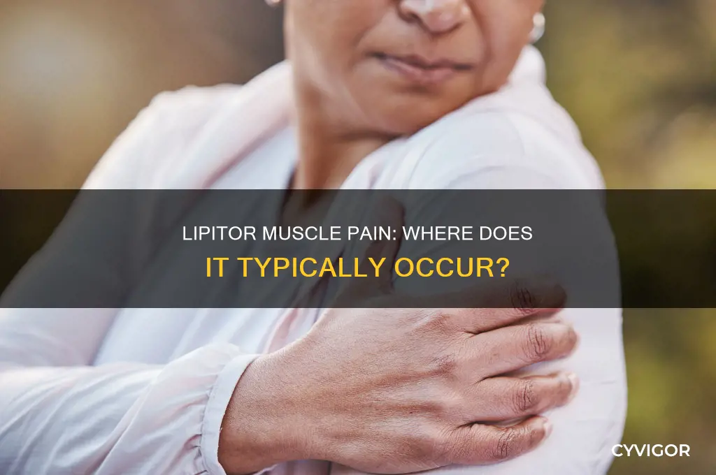 Lipitor Muscle Pain: Where Does It Typically Occur? | CyVigor