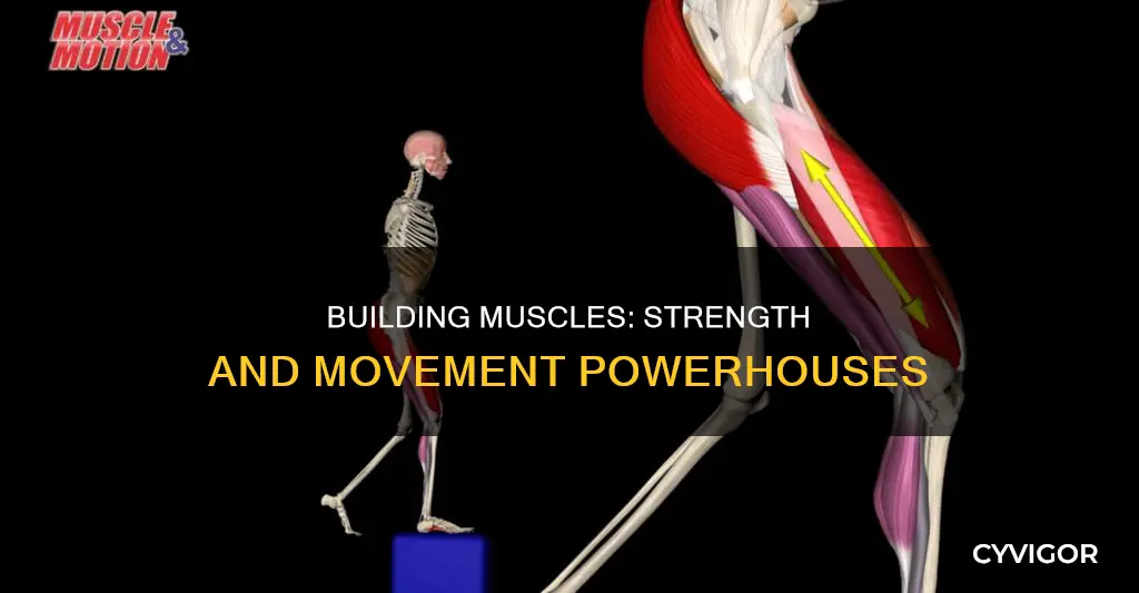 Building Muscles: Strength And Movement Powerhouses | CyVigor